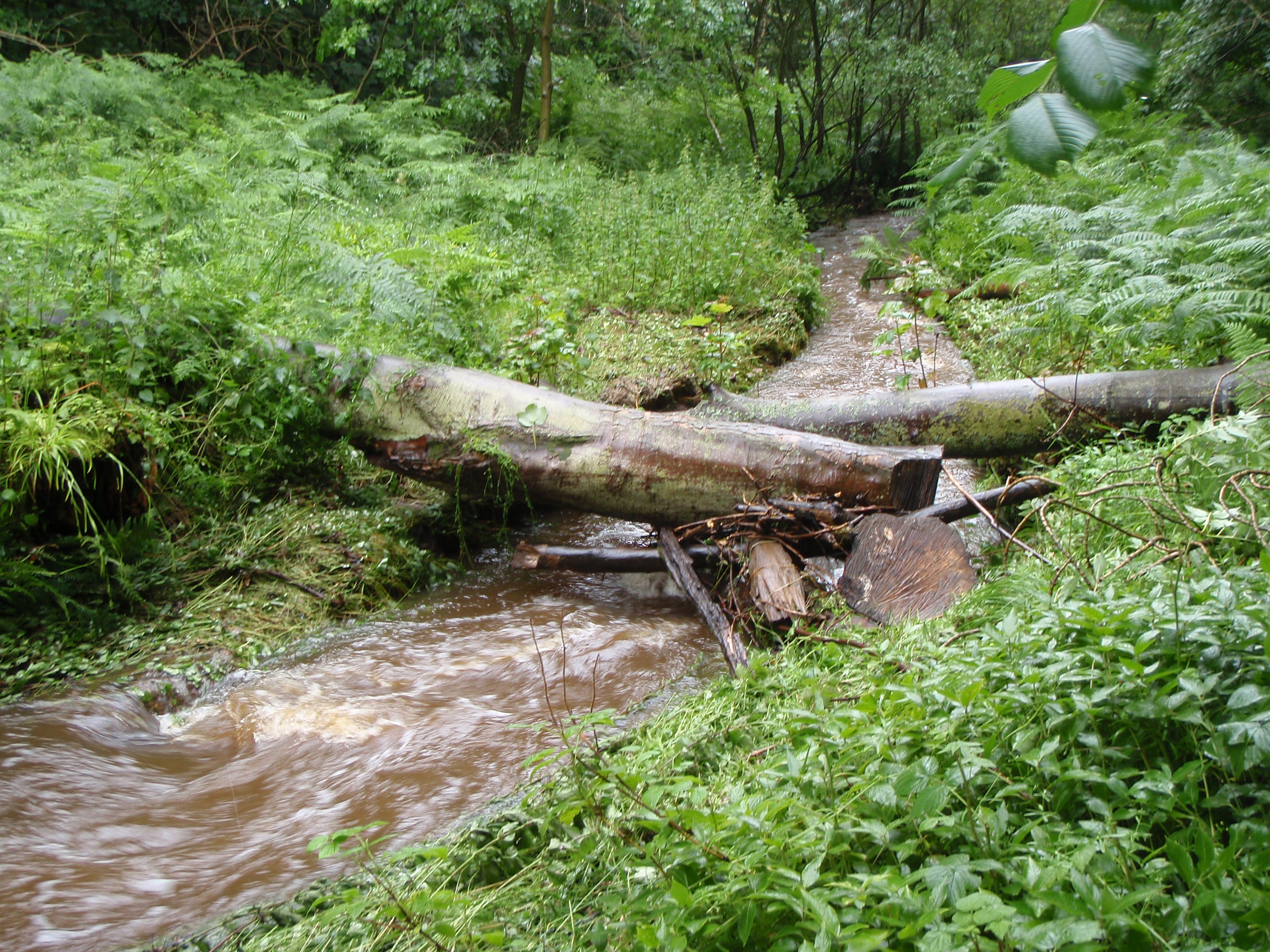 The natural flood management manual now available | Natural Flood ... The natural flood management manual now available | Natural Flood ...